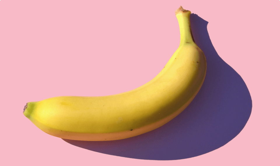 Portfolio - Damsole Technologies