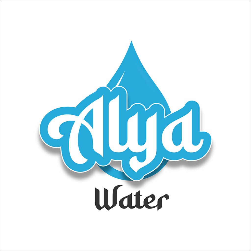 Logo Design Portfolio - Damsole Technologies