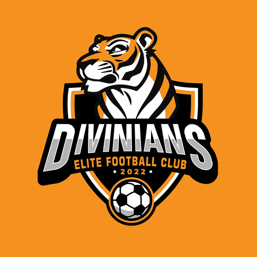 Home - Damsole Technologies